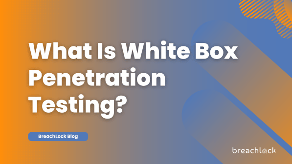 What Is White Box Penetration Testing Breachlock 
