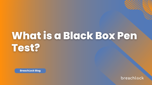 What is a Black Box Pen Test? - BreachLock