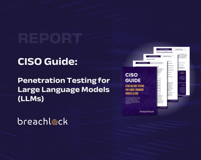 CISO Guide: Penetration Testing for Large Language Models (LLMs ...